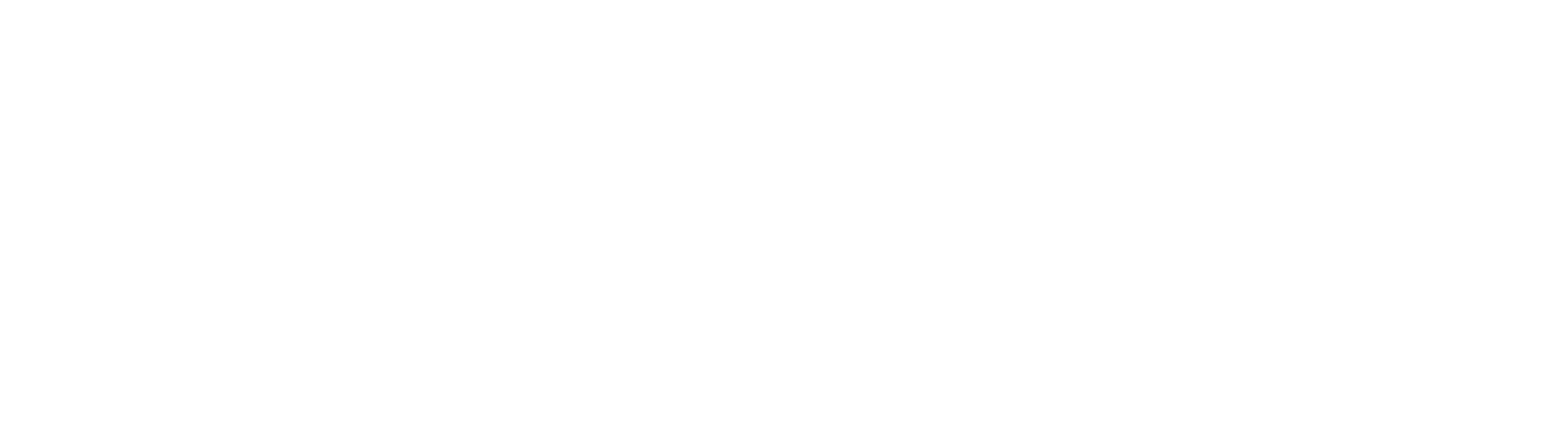 Global Mobility Solutions - HSP Group